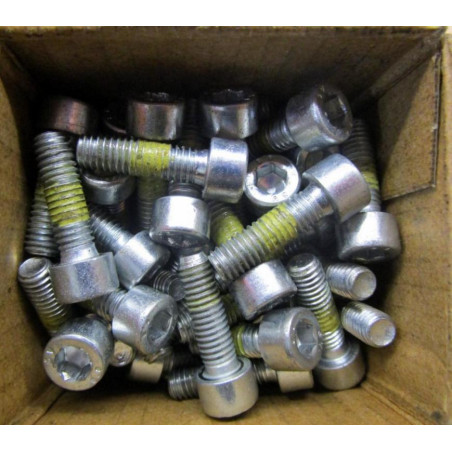 Holo-Krome 1139567 SHCS M6 1.0 X 20 (Pack of 80)