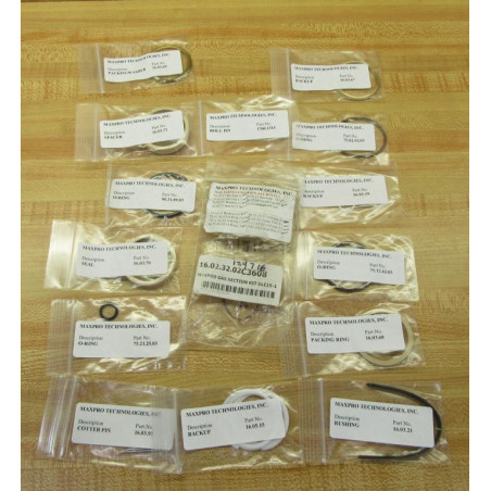 Maxpro Technologies 124716 Gas Section Kit 16.02.32.02 Partial Kit
