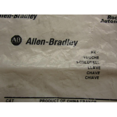 Allen Bradley 800F-AKR3825 Keys (Pack of 2)