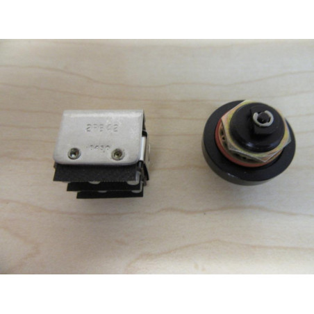 Micro Switch 2PB42 Push Button Switch